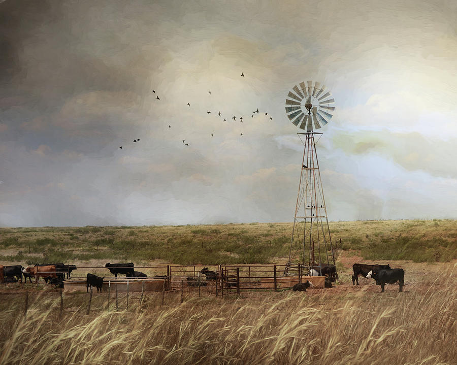 Farm Scene - Edit This 11 Photograph by Lori Deiter Farm Scene - Edit This 11 Photograph by Lori Deiter
