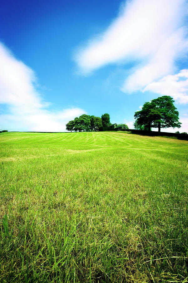Field by Duncan1890 Field by Duncan1890