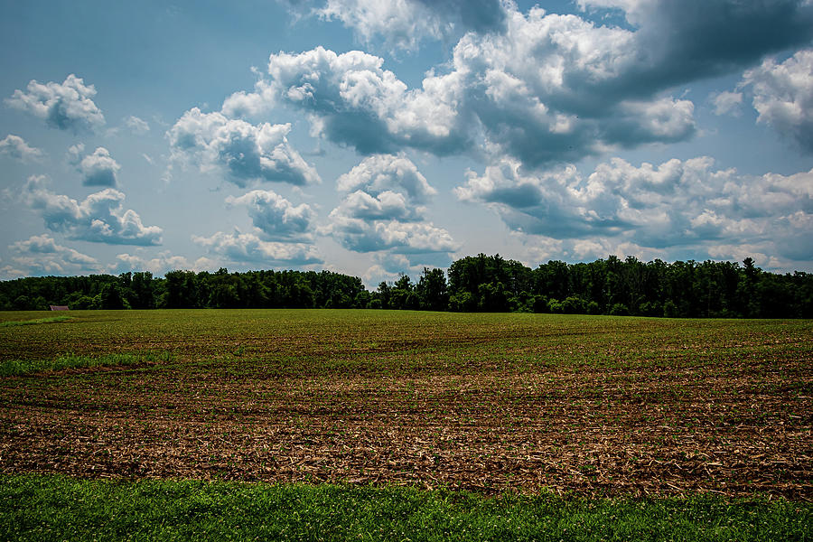 Fieldscape Colorized Photograph by Andrew Brake | Fine Art America