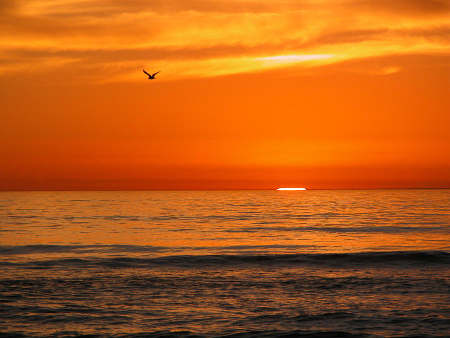 Final Flight by Compucow