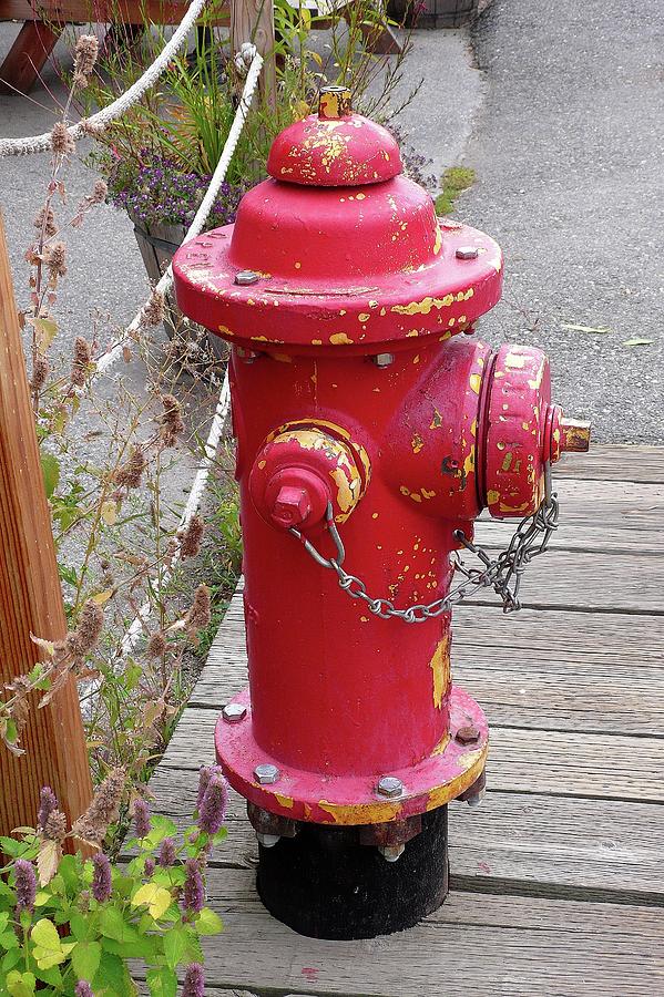 Fireplug III Photograph by Joe Meche - Fine Art America