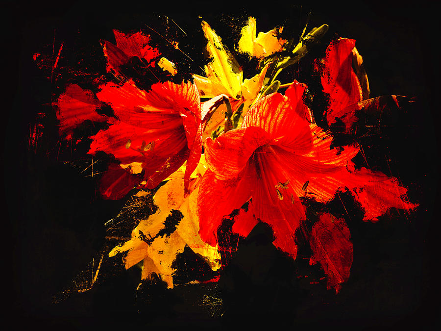 Flower Explosion Digital Art by Rebecah Thompson - Fine Art America