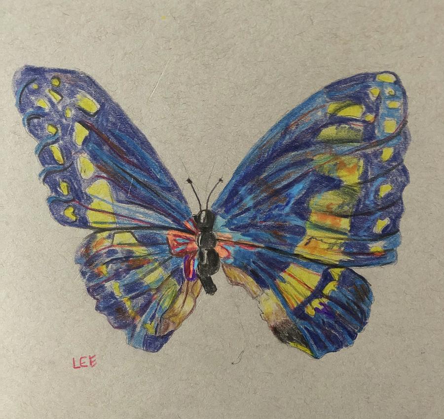 Flutter Drawing by Brandy Vasquez - Fine Art America