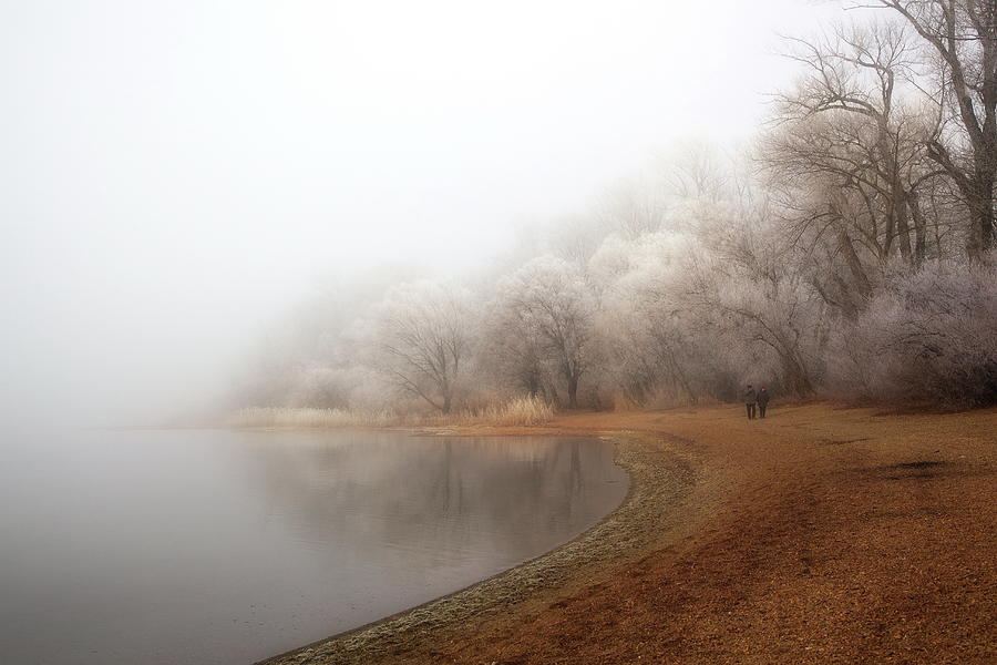 Fog And Rime On The Lake Photograph by Hans Peter Rank - Pixels