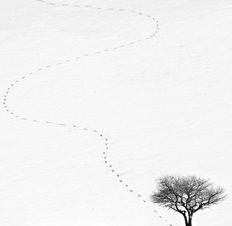 Footprint Photograph by Mostafa Nodeh - Fine Art America