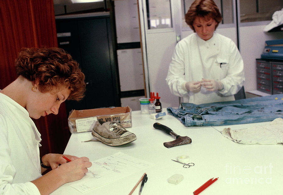 Forensic Science Laboratory Photograph by Peter Menzel/science Photo ...