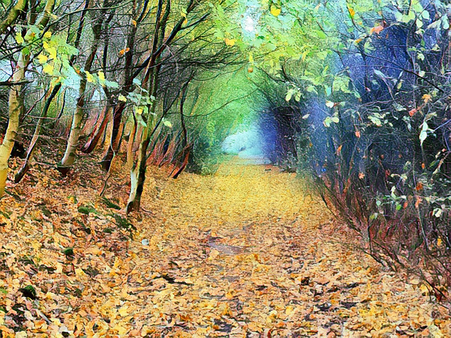 Forest Path Digital Art by Smart Emporium - Fine Art America