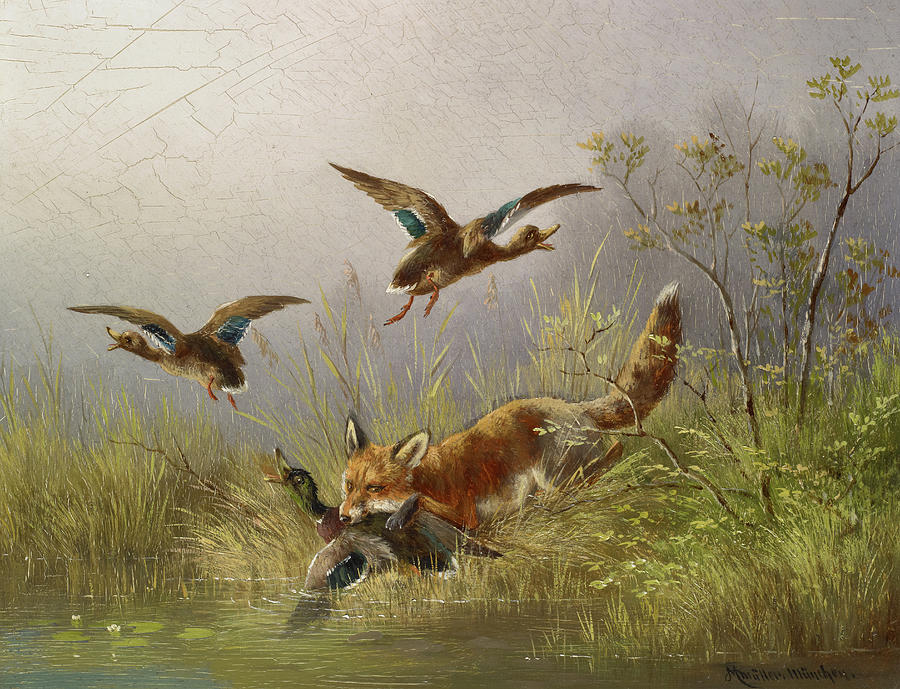 Fox Chasing Ducks Painting by Moritz Muller - Fine Art America