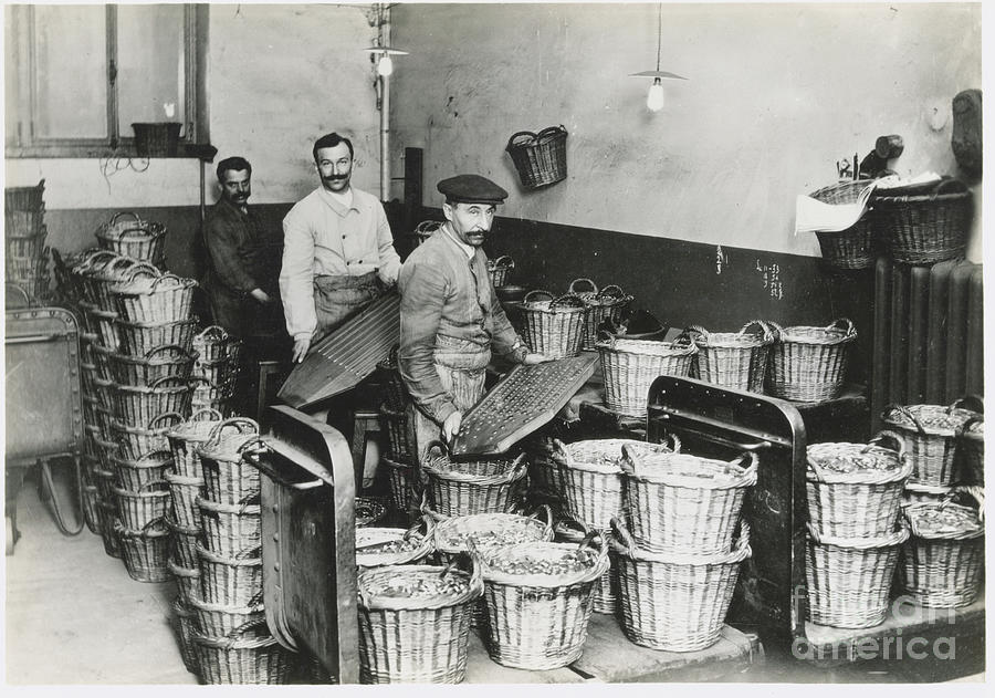 French Mint Workers Photograph by Bettmann | Fine Art America