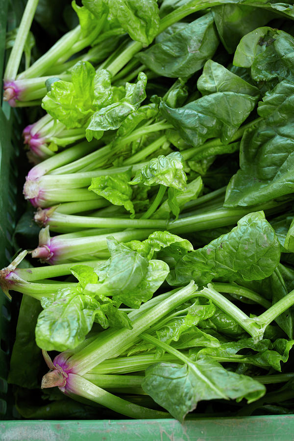 Fresh Spinach In A Green Crate Photograph by Oliver Brachat - Pixels