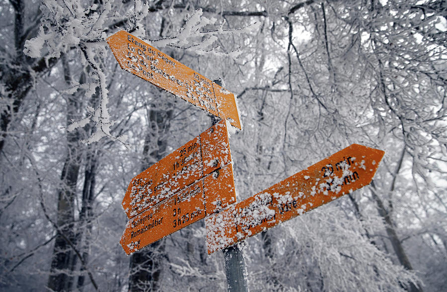 Frosty Signs Are Pictured Photograph by Denis Balibouse | Pixels