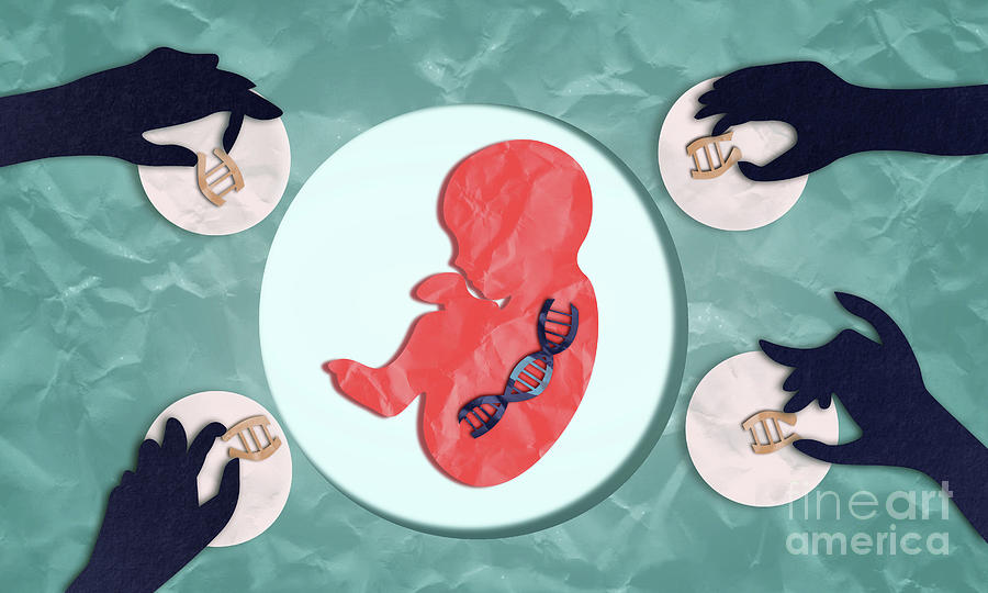 Genetic Engineering Designer Babies by Science Photo Library