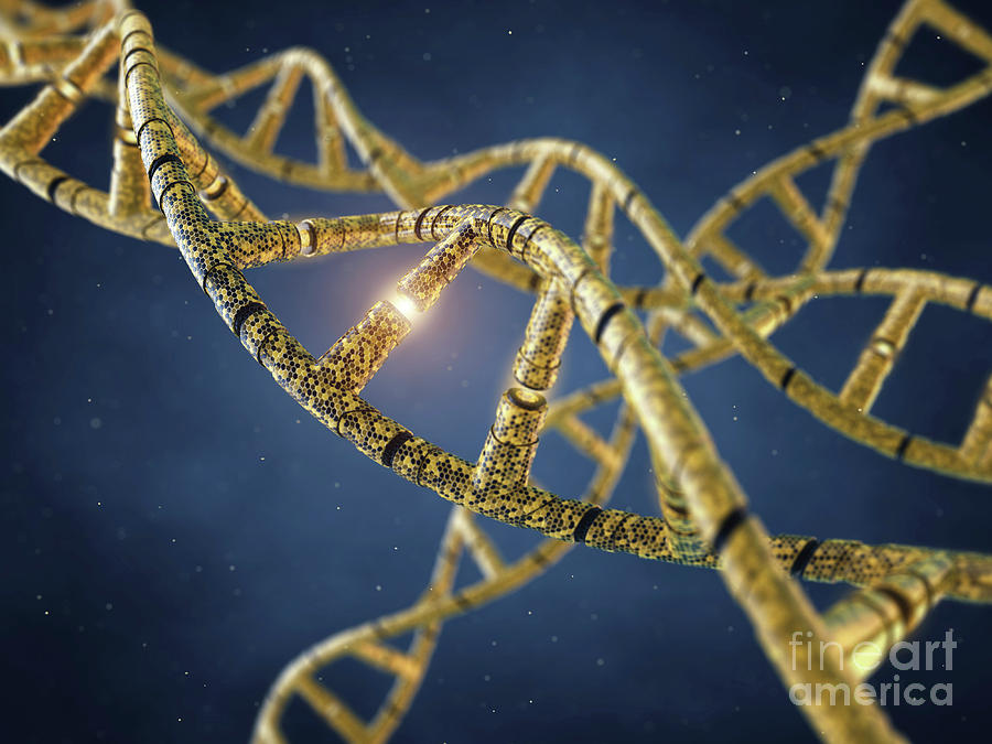 Genetic Engineering Photograph by Nobeastsofierce/science Photo Library ...