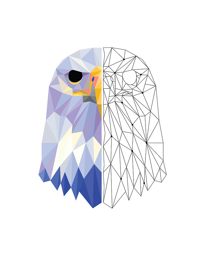 Geometric Eagle Digital Art by Mister Tee - Fine Art America