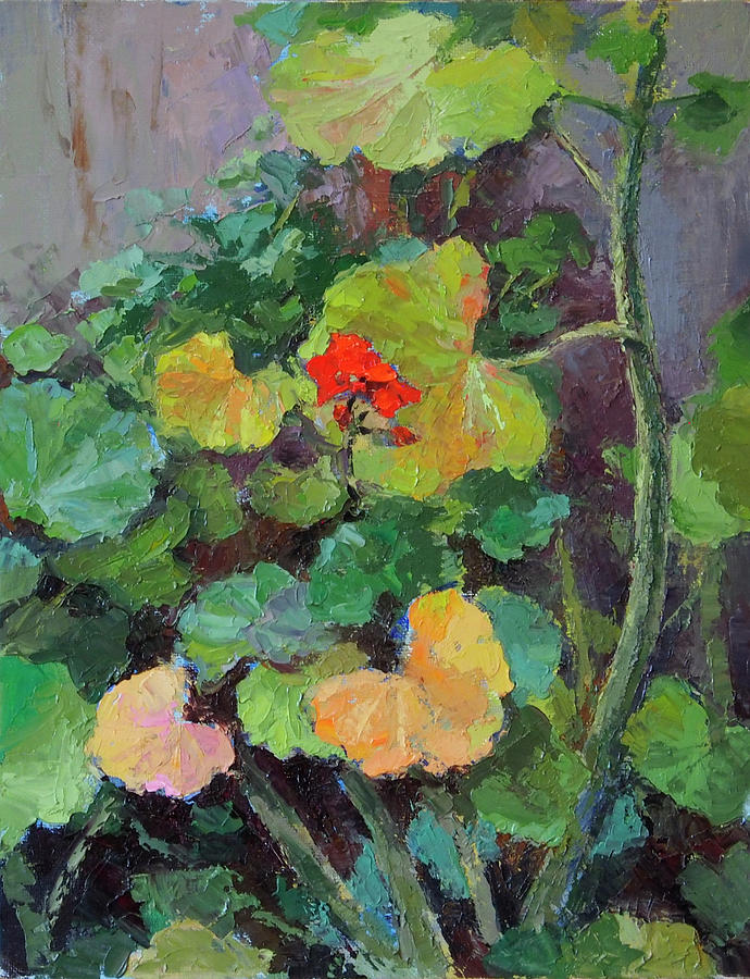 Geranium Painting by Rita M - Pixels