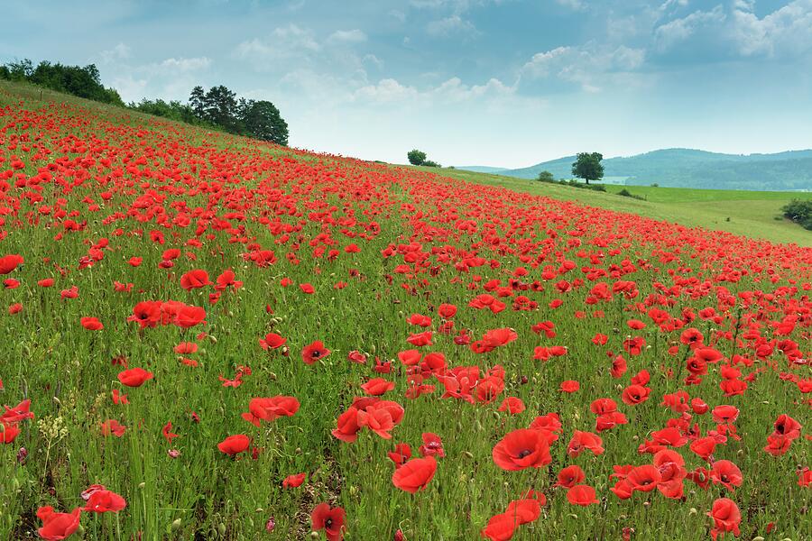 Germany, Thuringia, Thuringian Rhon Digital Art by Cornelia Dorr - Fine ...