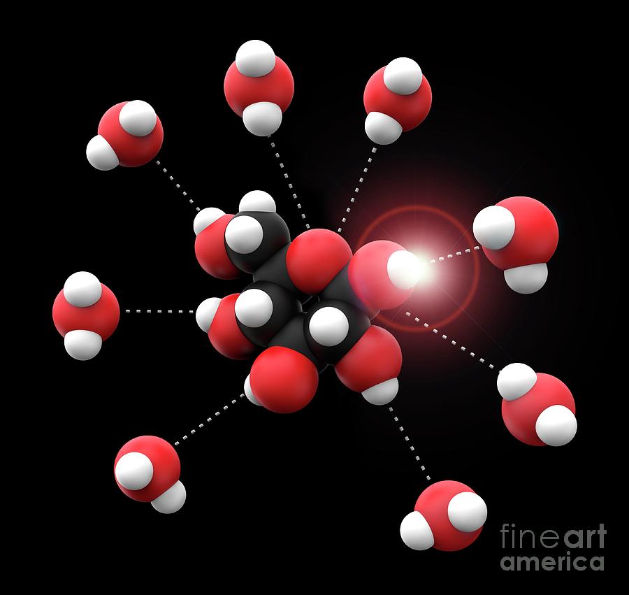 Glucose Solvation Mechanism by Science Photo Library