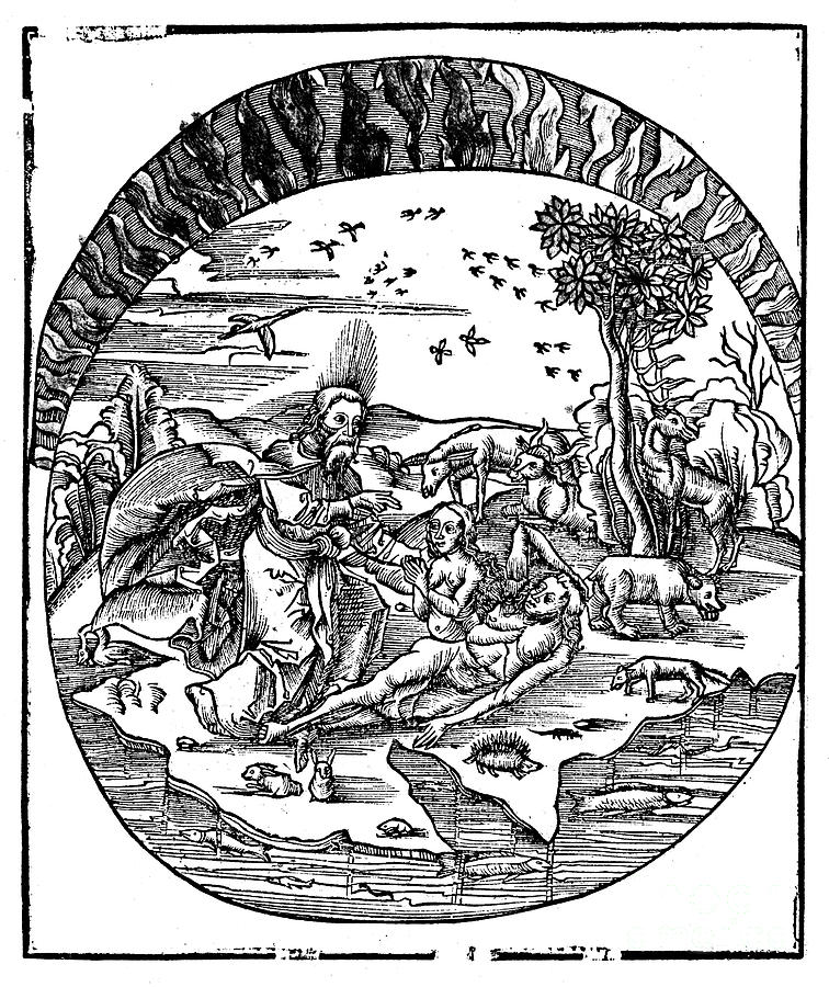 God Creating Eve From Adams Rib 1508 By Print Collector