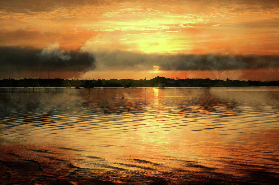 Goodnight Photograph By Eagle Finegan Fine Art America