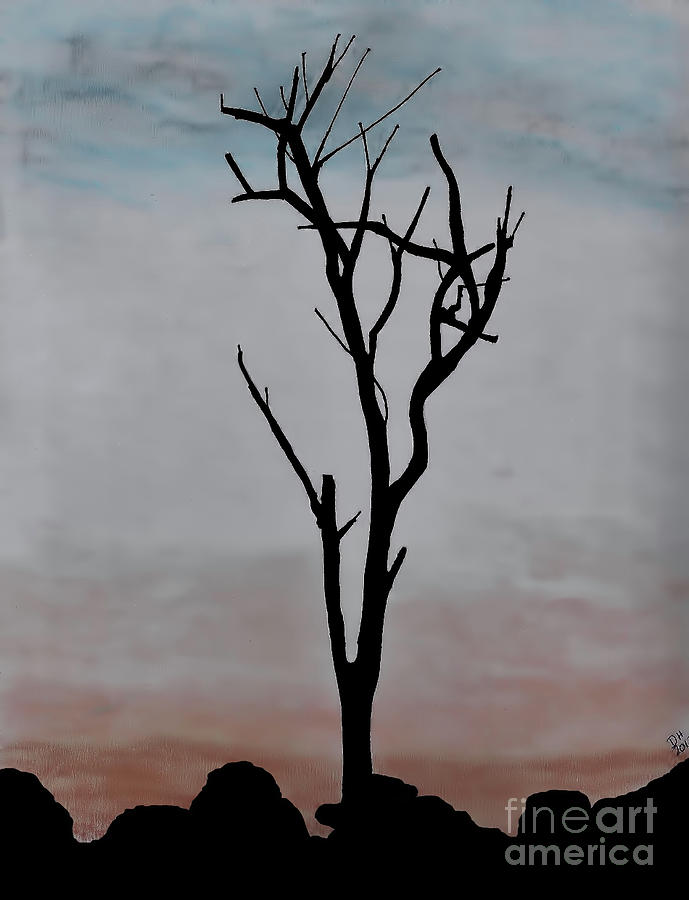 Gray - Sky - Tree Drawing by D Hackett - Fine Art America