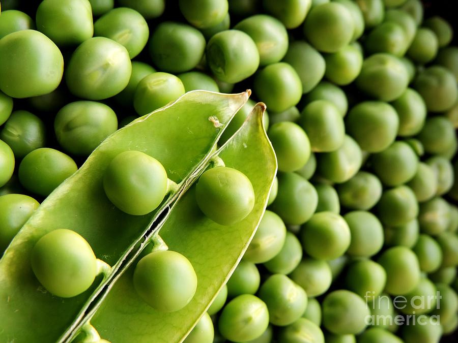 Green Peas Background With An Opened Pod Fruit On Top Photograph by ...