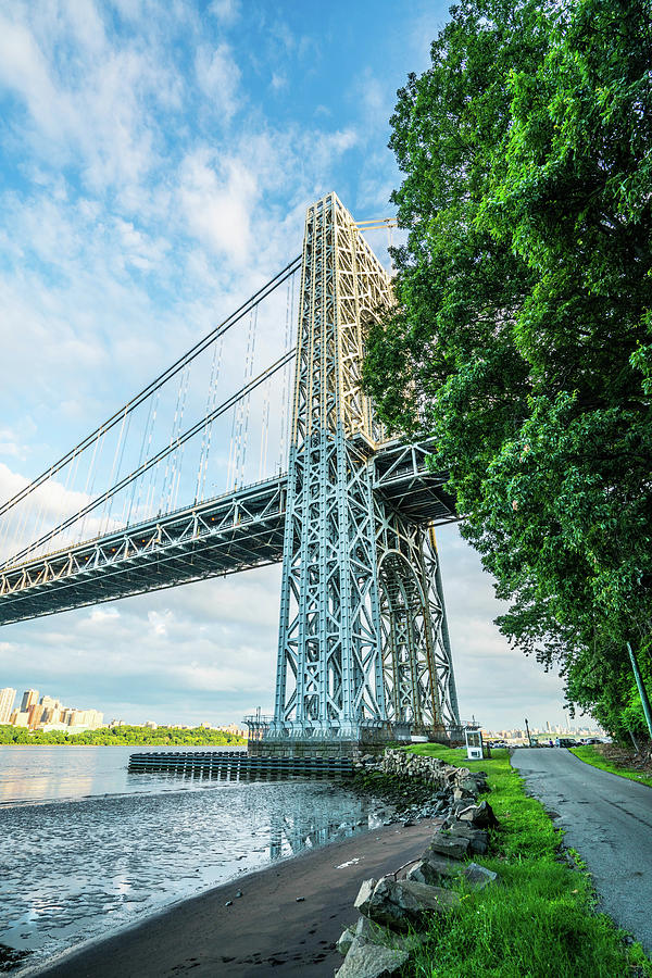 GW Bridge with Tree Photograph by John Poblocki - Pixels