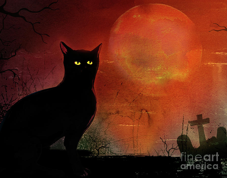 Halloween Black Cat Digital Art by Peter Awax - Fine Art America
