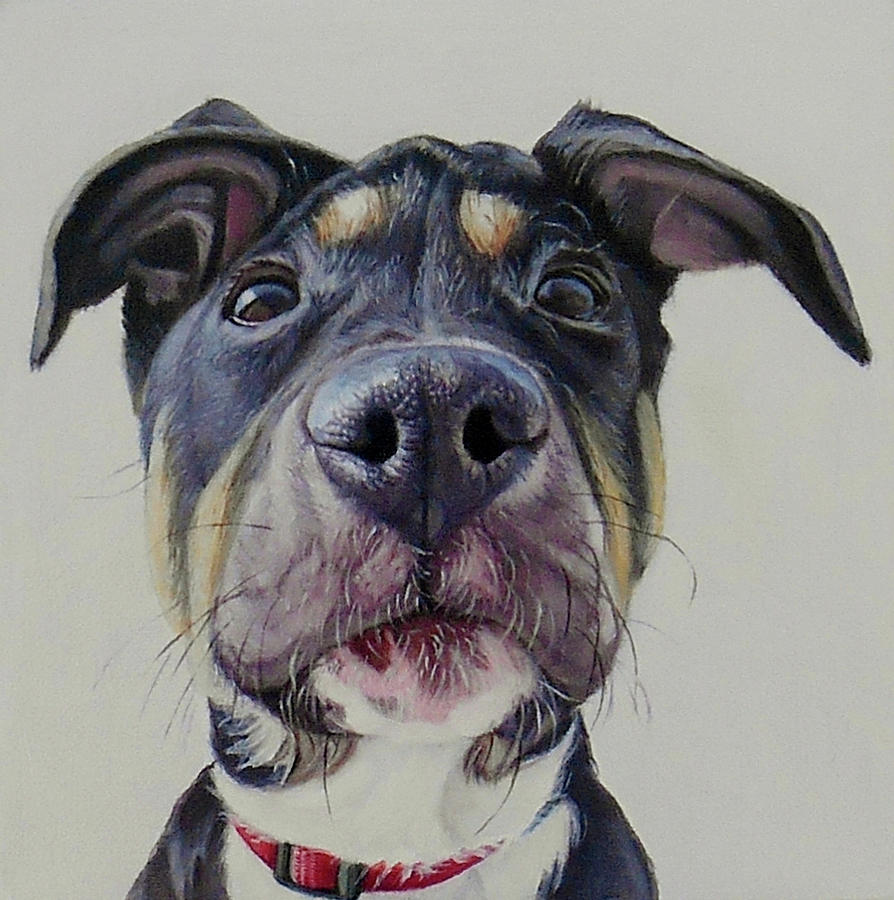 Hank 2 Painting by James Ruby - Fine Art America