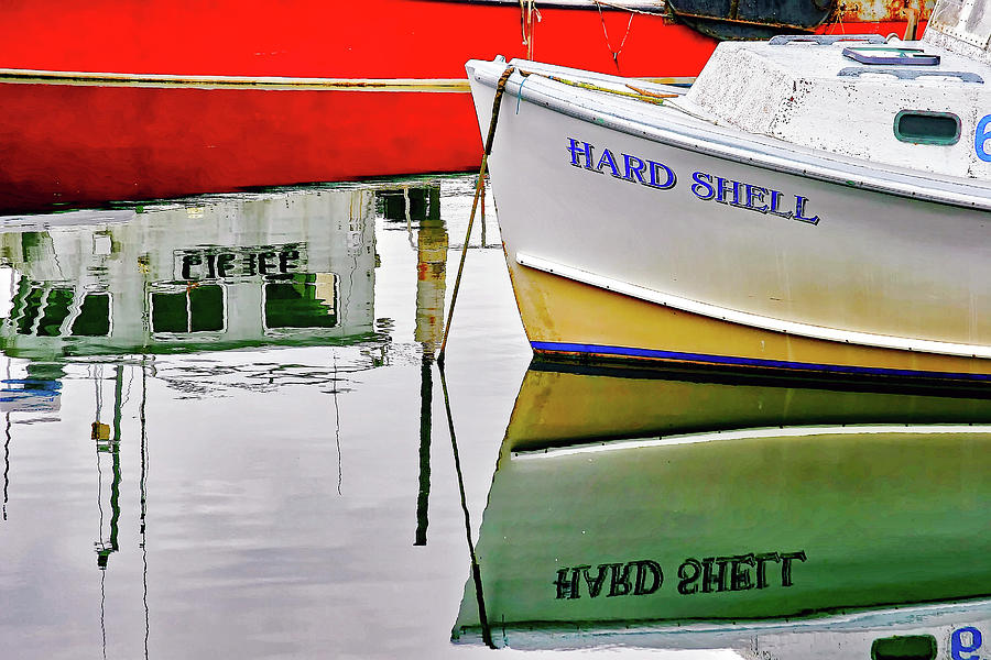 Hard Shell Photograph by Joseph Bankowski | Pixels