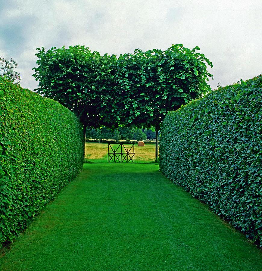 Hedged Garden By Richard Felber