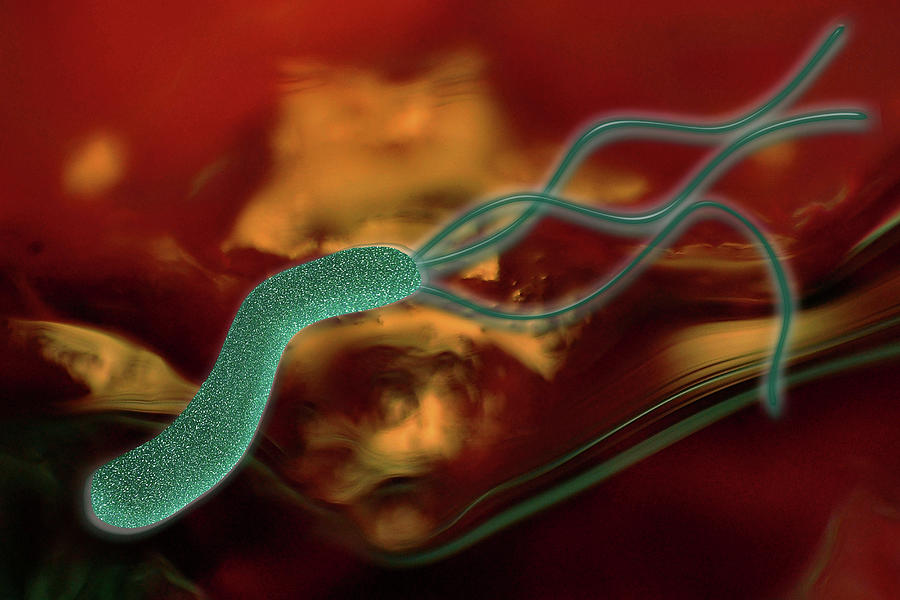 Helico Bacteria Cell Under Microscope Digital Art by Sigrid Gombert ...