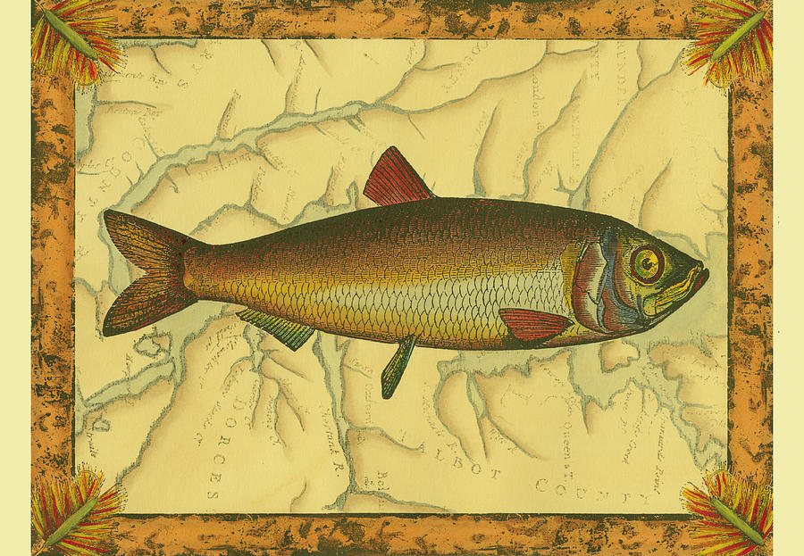 Herring On Map Painting by Vision Studio - Fine Art America