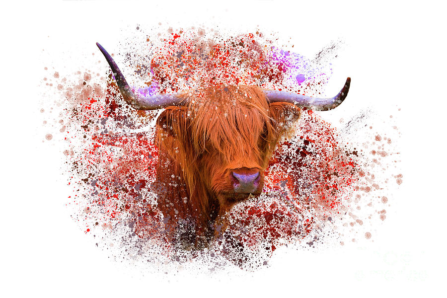 Highland cow with paint splatter Photograph by Rosaline Napier - Pixels Highland cow with paint splatter Photograph by Rosaline Napier - Pixels