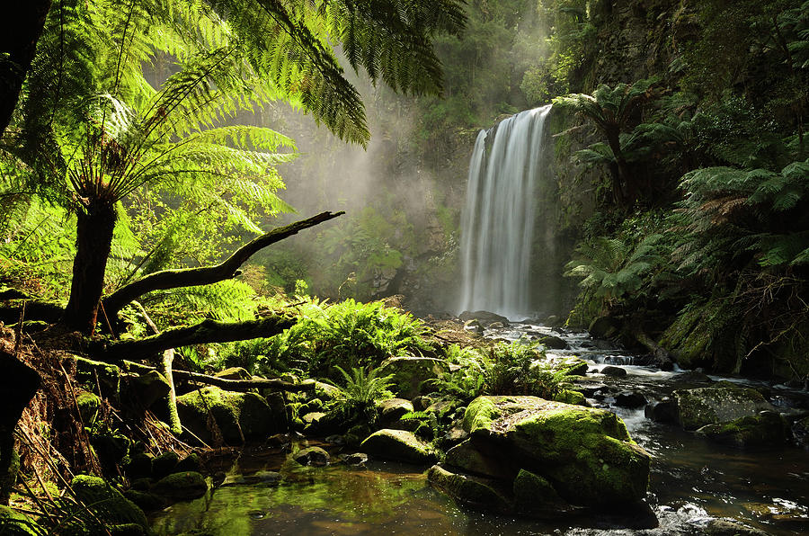 Hopetoun Falls, Great Otway National by Jochen Schlenker