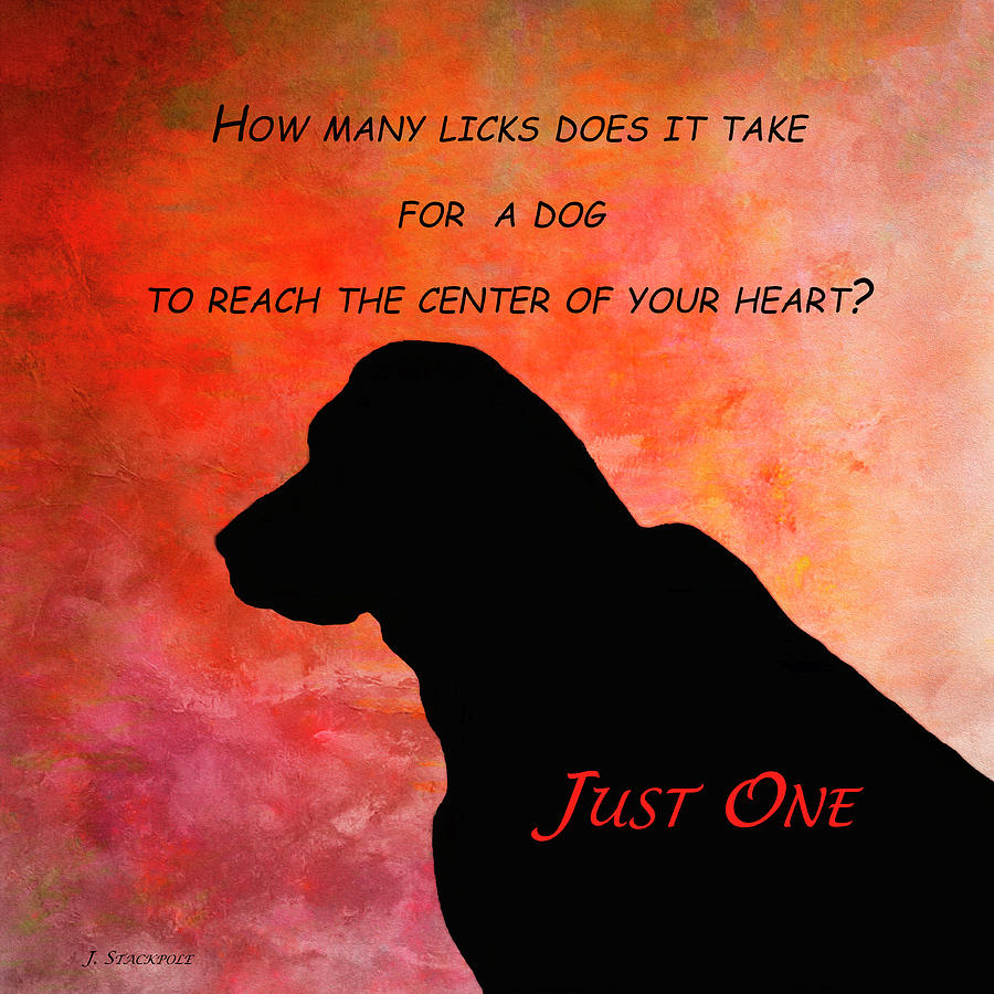 How Many Licks Does It Take Photograph by Jennifer Stackpole - Fine Art ...