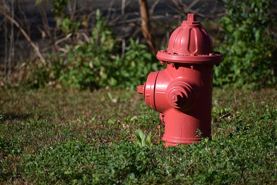 Hydrant Photograph by Caleb Thompson - Fine Art America