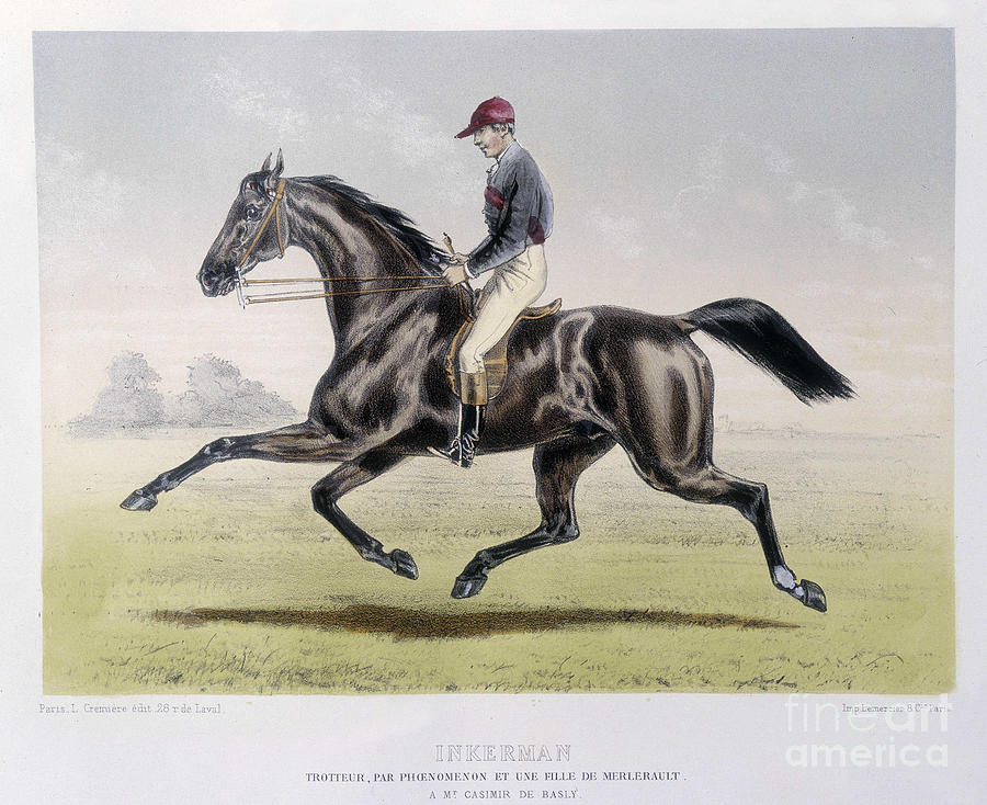 Inkerman - In “the Centaur””, 1868 Drawing by Unknown Artist - Fine Art ...