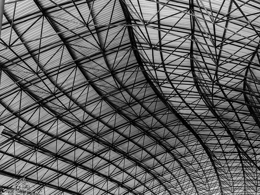 Iron structure Photograph by Xavier Coco - Pixels