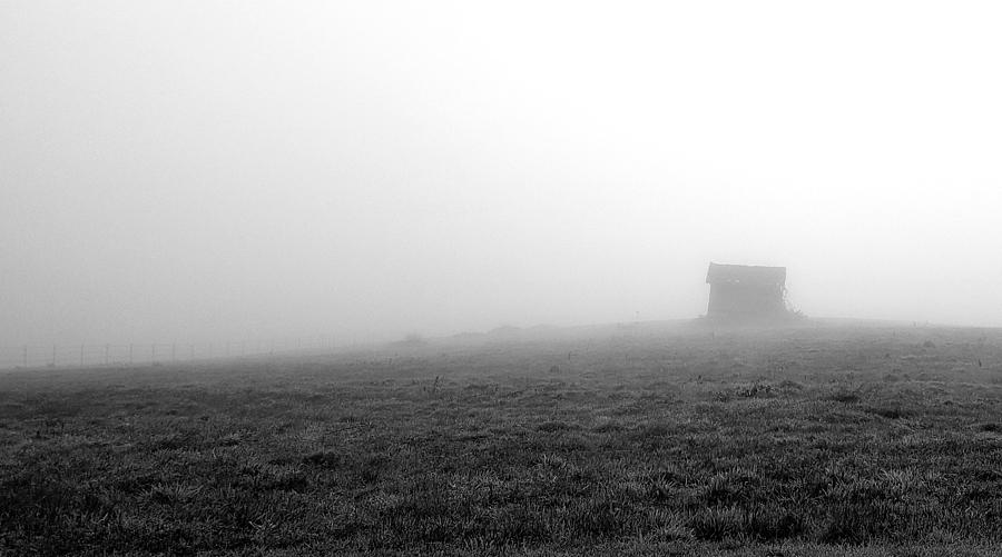 Isolation Photograph by Eric Stenberg - Pixels