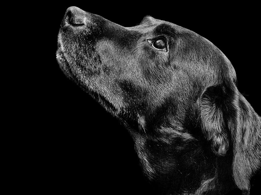 Kenia Photograph by Montserrat Alviani - Fine Art America