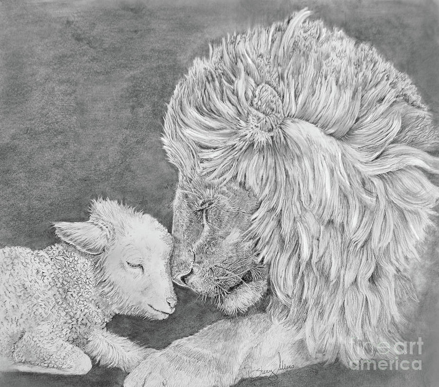 Lion And Lamb Drawing By Sherry Adkins