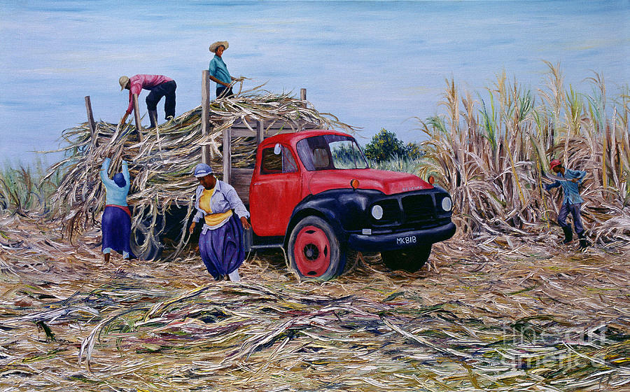 Loading Canes Painting by Victor Collector - Fine Art America