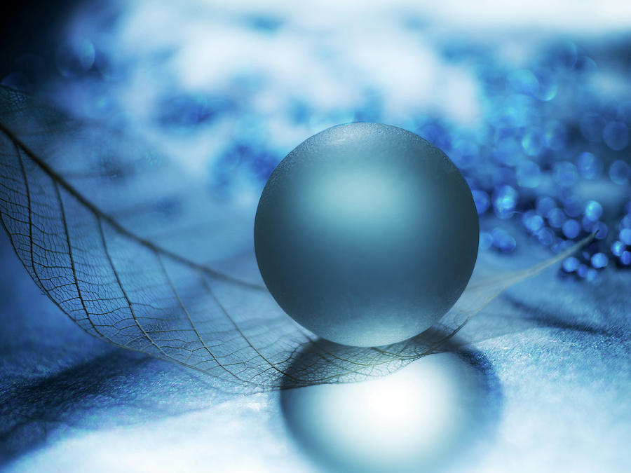 Magic Blue Photograph by Luis Vasconcelos - Fine Art America