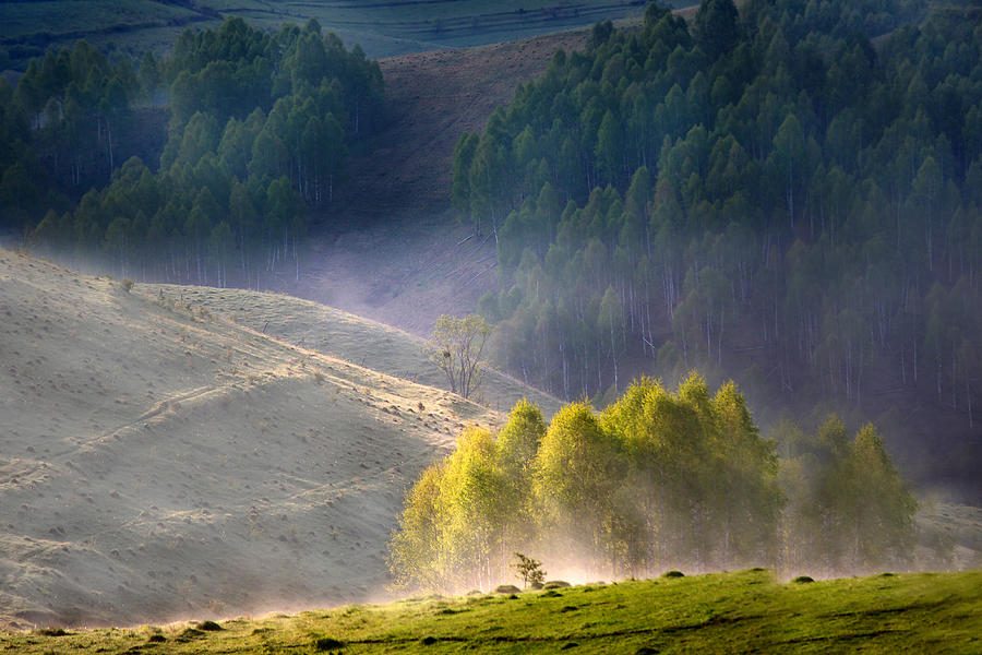 Magical Spring Moments by Panaana