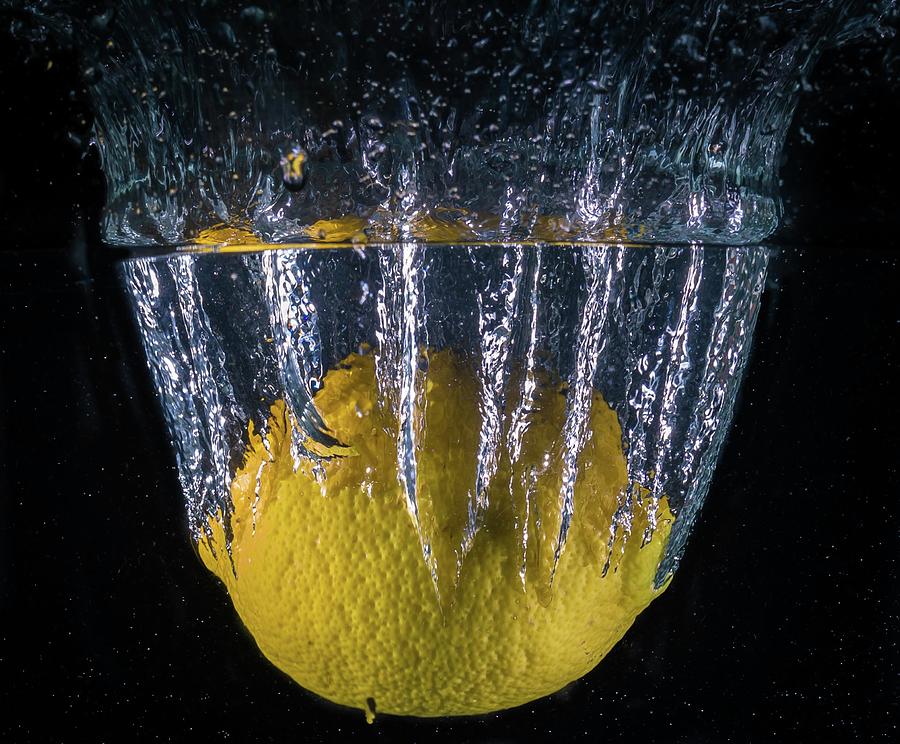 Lemon Drop Photograph by Lynne Pedlar - Fine Art America