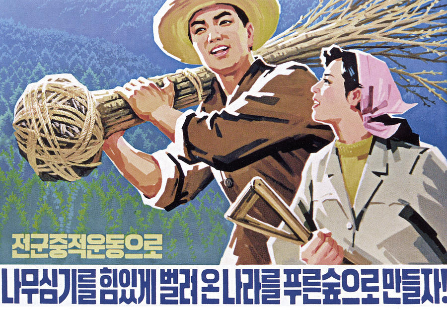 Make Tree planting into a mass movement & turn the country into a green ...