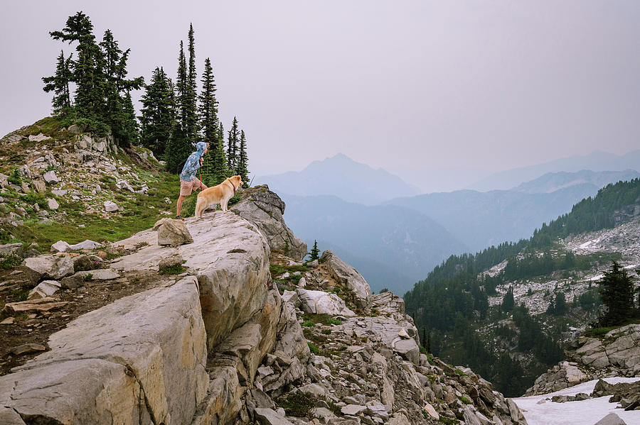 Male Hiker And Fluffy Dog Standing On Cliff In The Alpine Photograph by ...