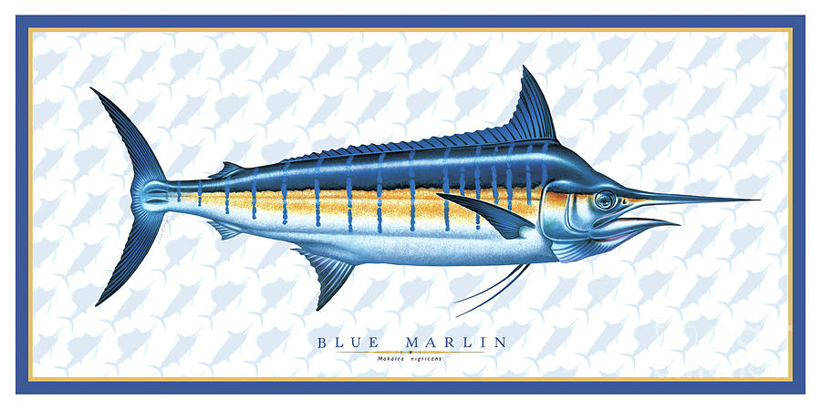 Marlin Side ID Painting by Jon Wright - Fine Art America