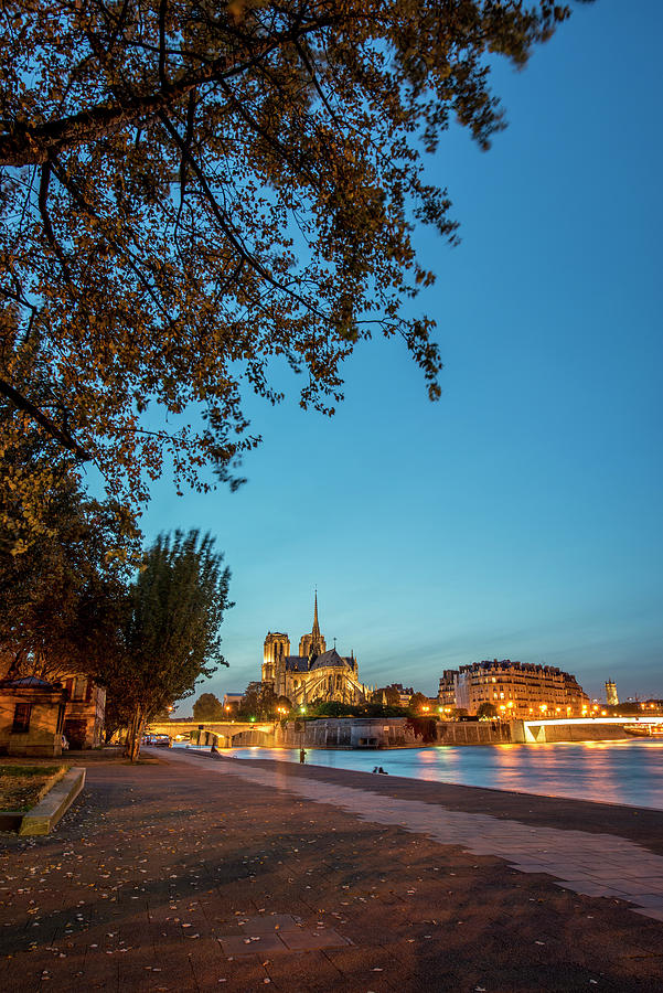 Mathieu Rivrin 02 Photograph by Mathieu Rivrin - Fine Art America