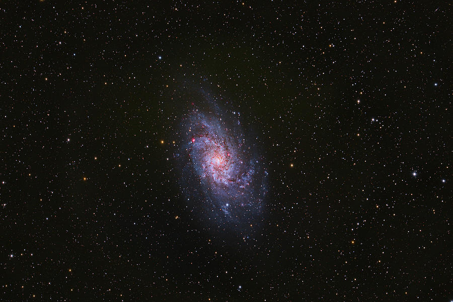 Messier 33, The Triangulum Galaxy Photograph by Reinhold Wittich | Fine Art America